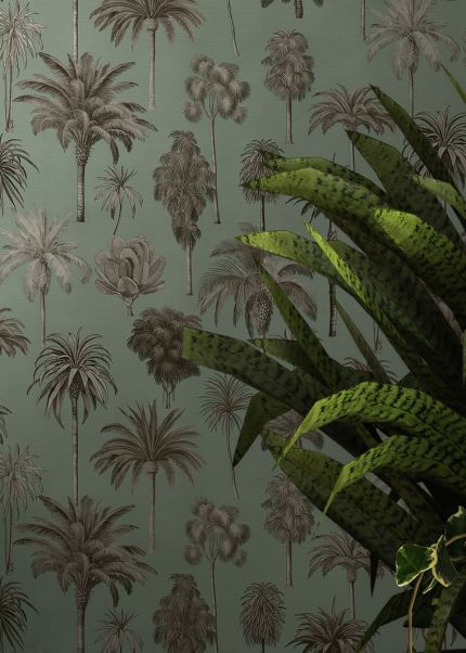 Orlantha Vert Gris